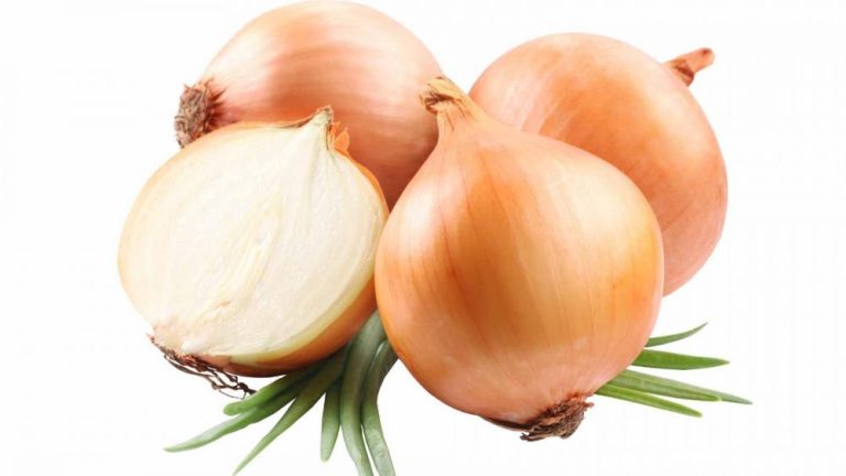 A vöröshagyma gyomirtása - Pro Agricultura Carpatika